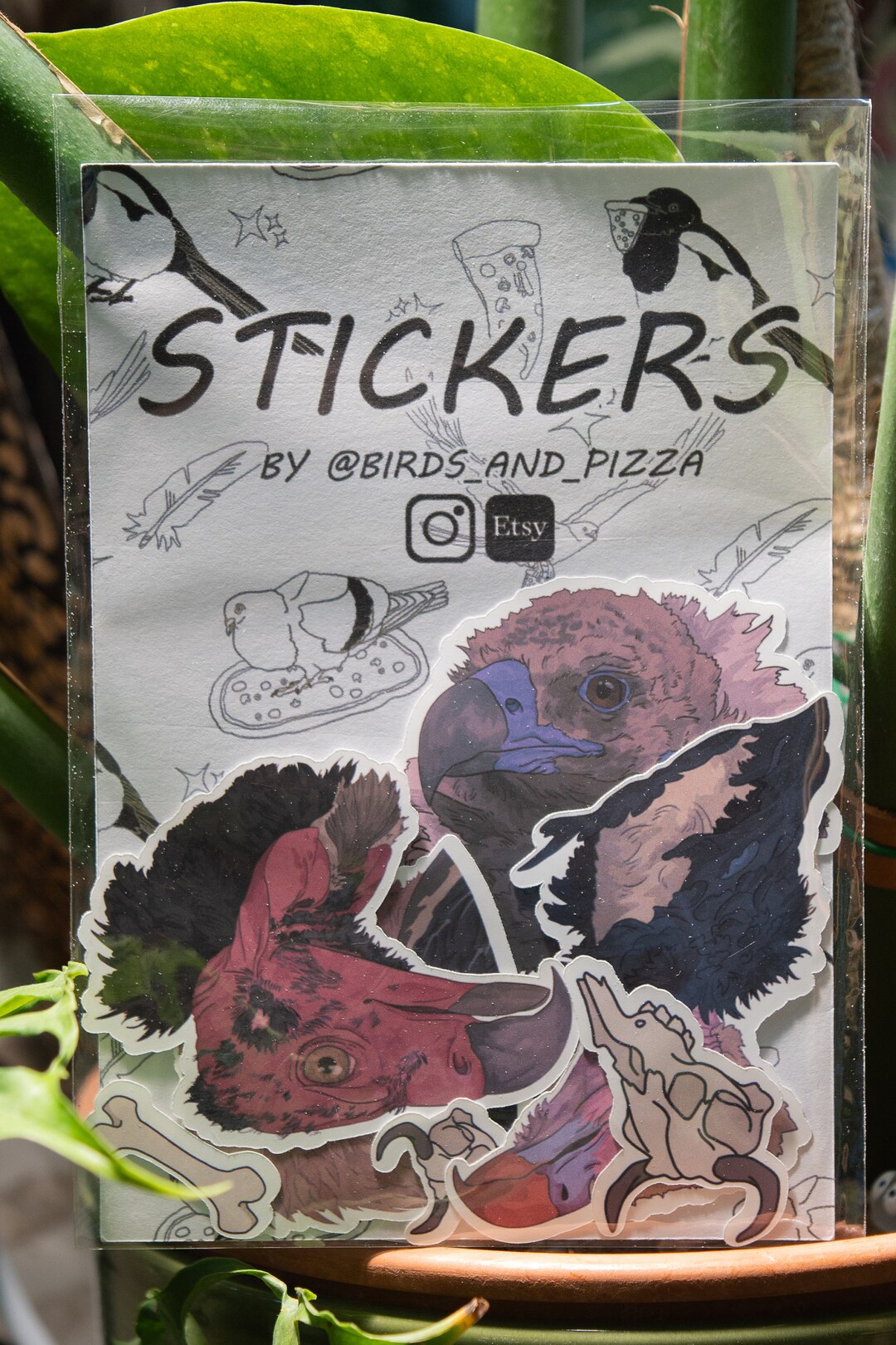 Large Vulture Sticker Pack - Etsy