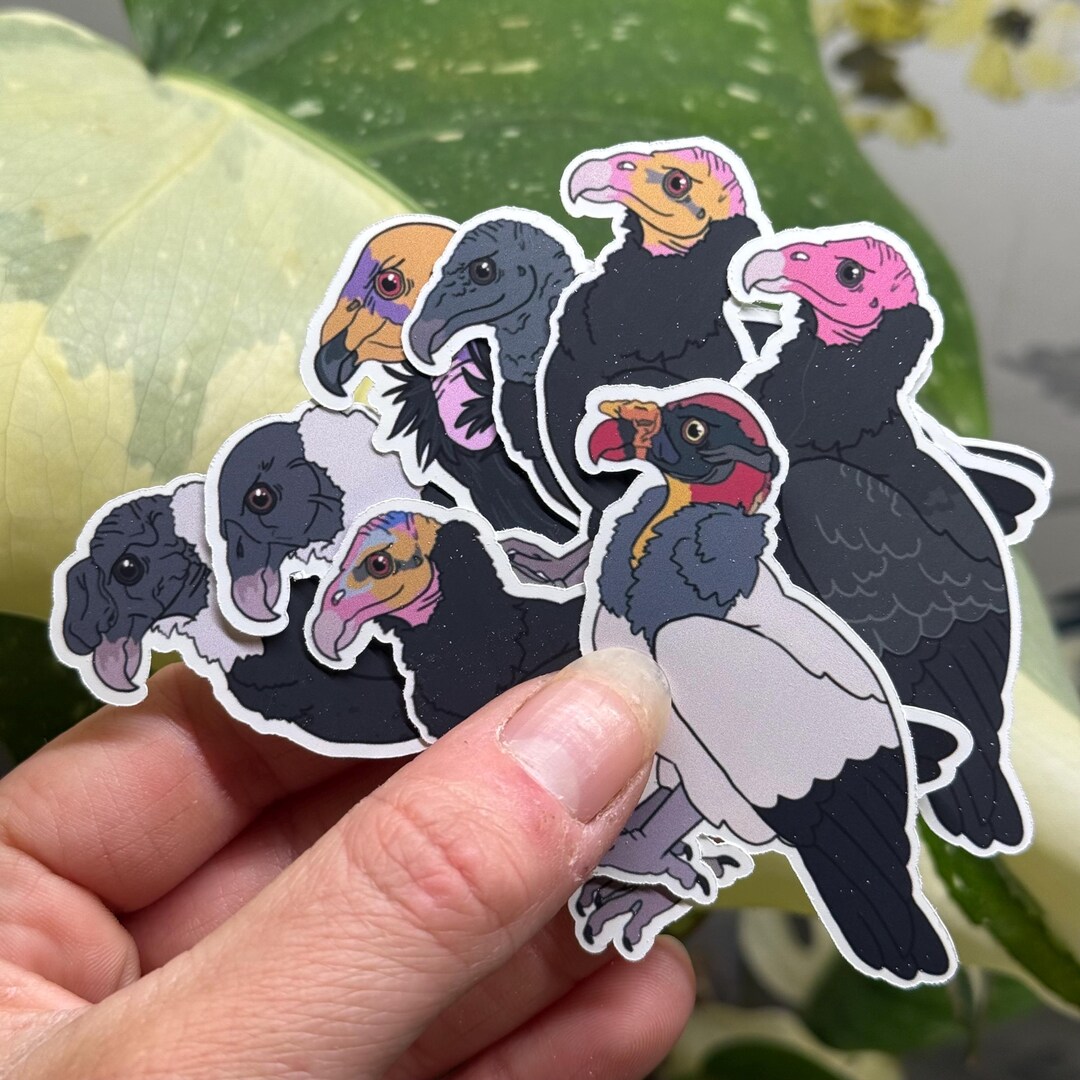 American Vulture Sticker Pack - Etsy