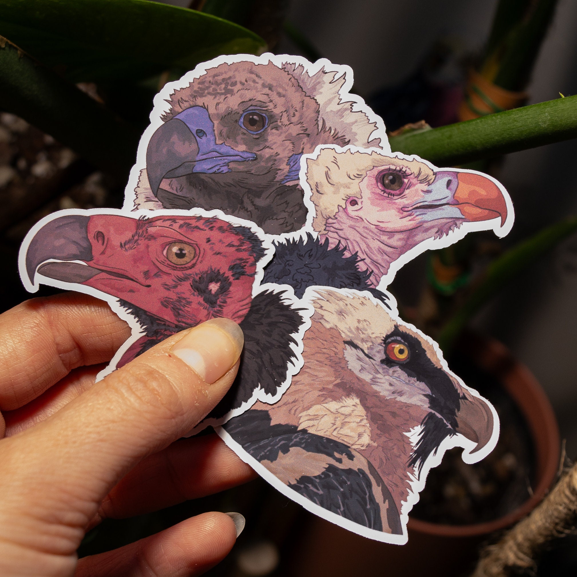 Large Vulture Sticker Pack - Etsy
