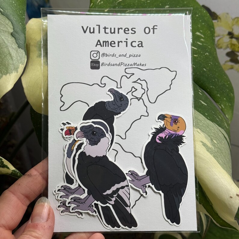 American Vulture Sticker Pack - Etsy