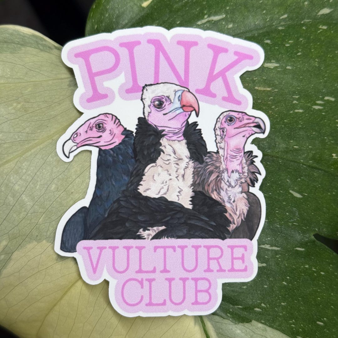 Pink Vulture Club Sticker - Etsy