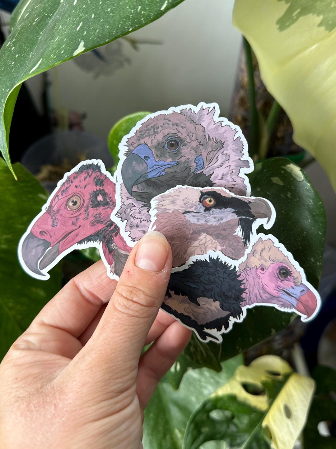 Large Vulture Sticker Pack - Etsy