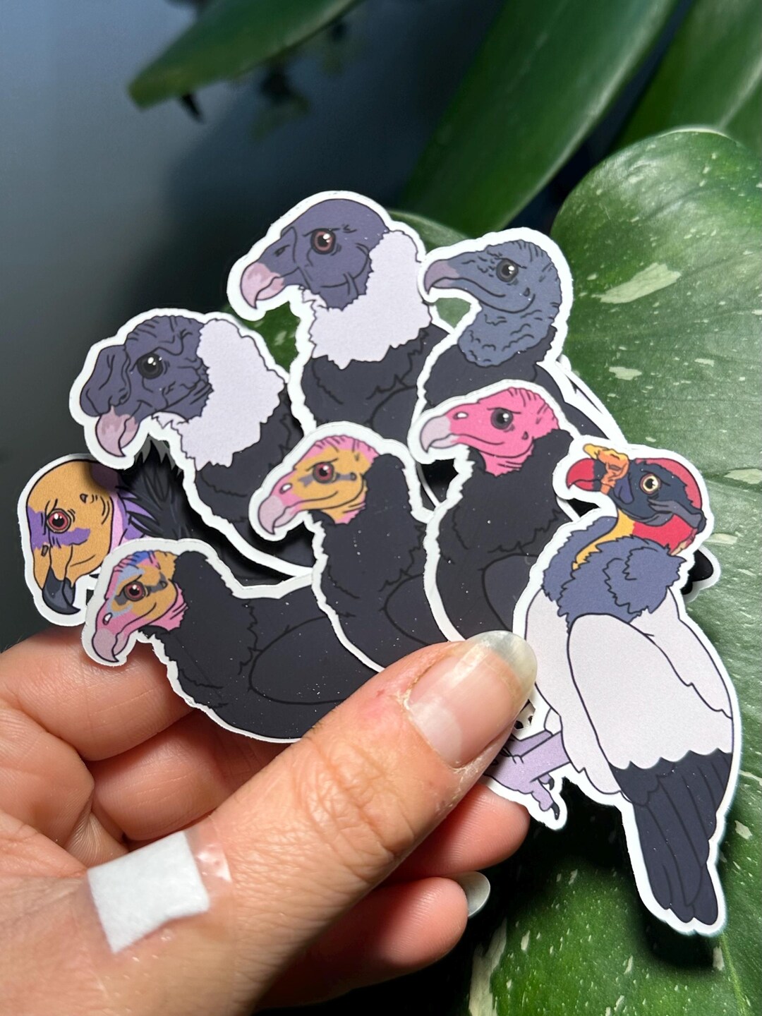 American Vulture Sticker Pack - Etsy