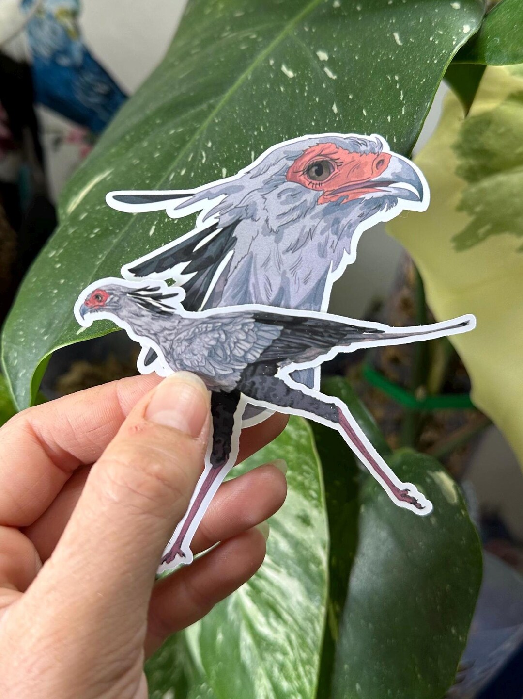 Secretary Bird Sticker Pack - Etsy
