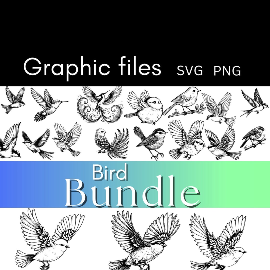 Bird _ Birds Realistic Graphics Bundle_ PNG SVG Vector for T-shirts ...
