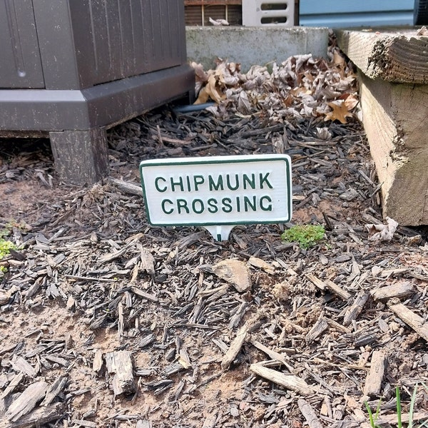 Chipmunk - Etsy