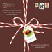 Set of 50 Ladybug Gift Tags Cute & Lucky Labels for Birthdays and ...