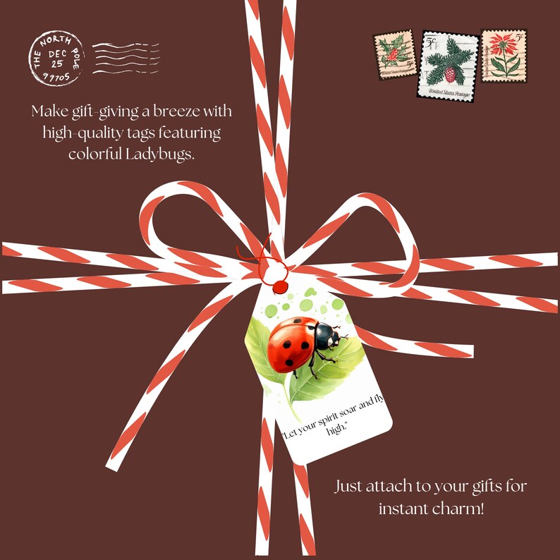 Set of 50 Ladybug Gift Tags Cute & Lucky Labels for Birthdays and ...