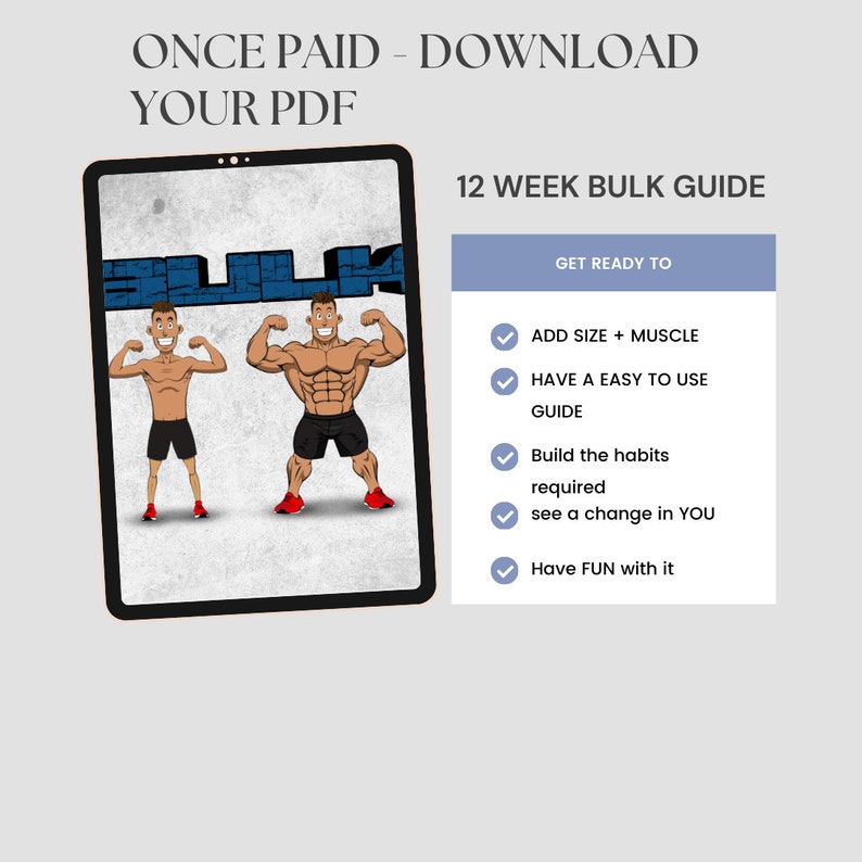 12 Week Fitness Ebook Guide / Skinny to Bulk Transformation ...
