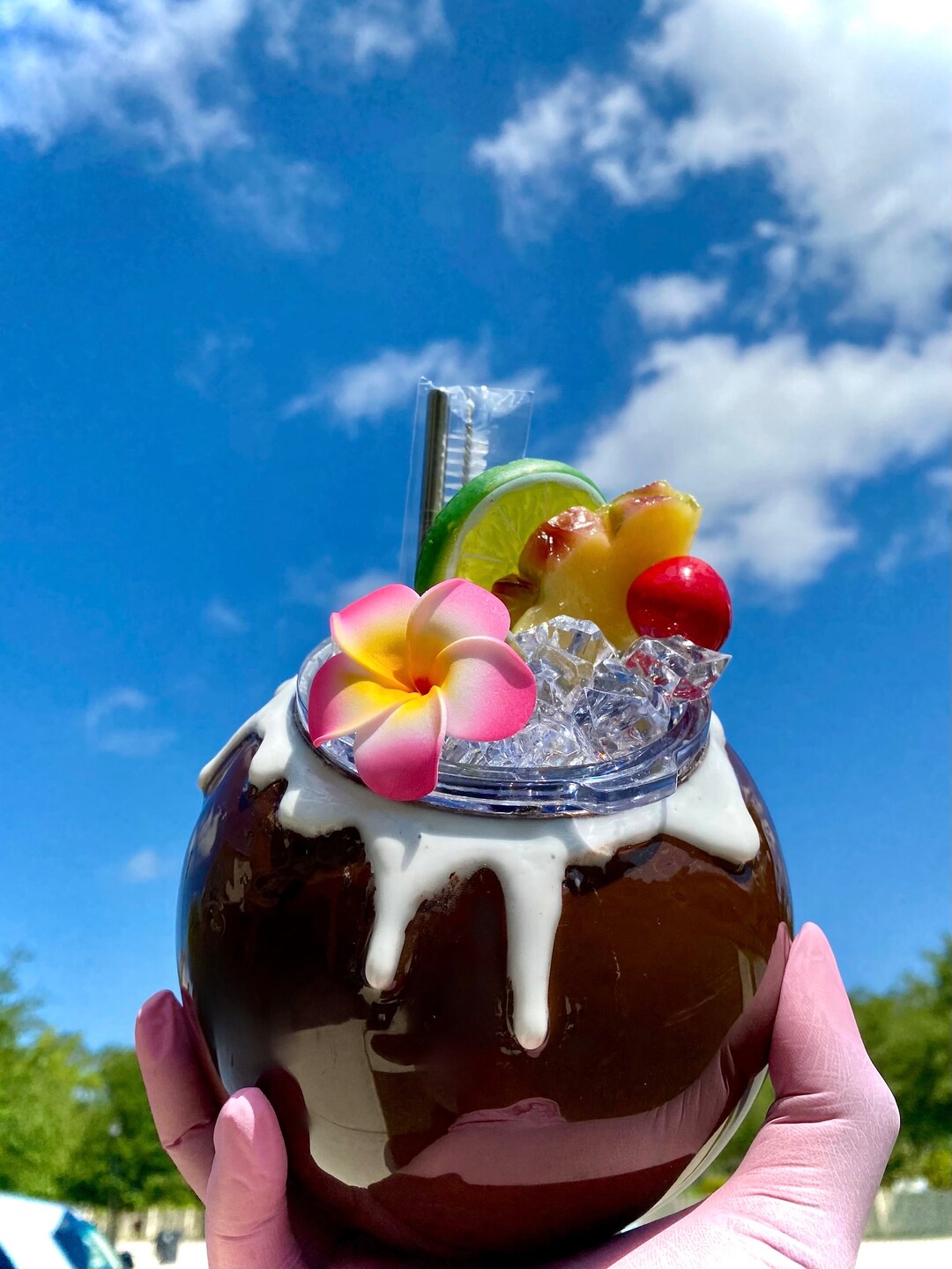 Novelty Coconut Tumbler Cup, Beach Party Cup, Vacation Drinkware, Fun ...