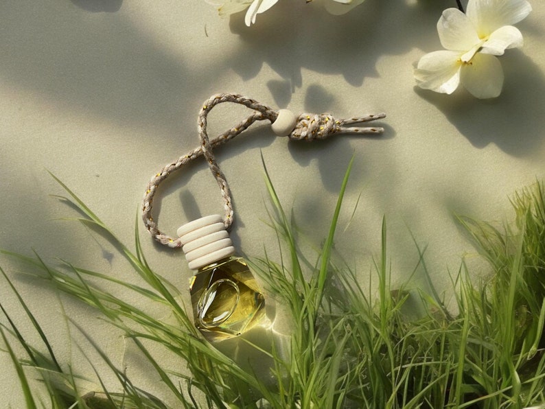 Hanging Car Diffuser New Car Gift Car Accessories for Women Freshener Car Freshie Graduation ...