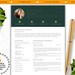 Resume CV Template Word, Professional CV Templates Clean ATS Friendly ...