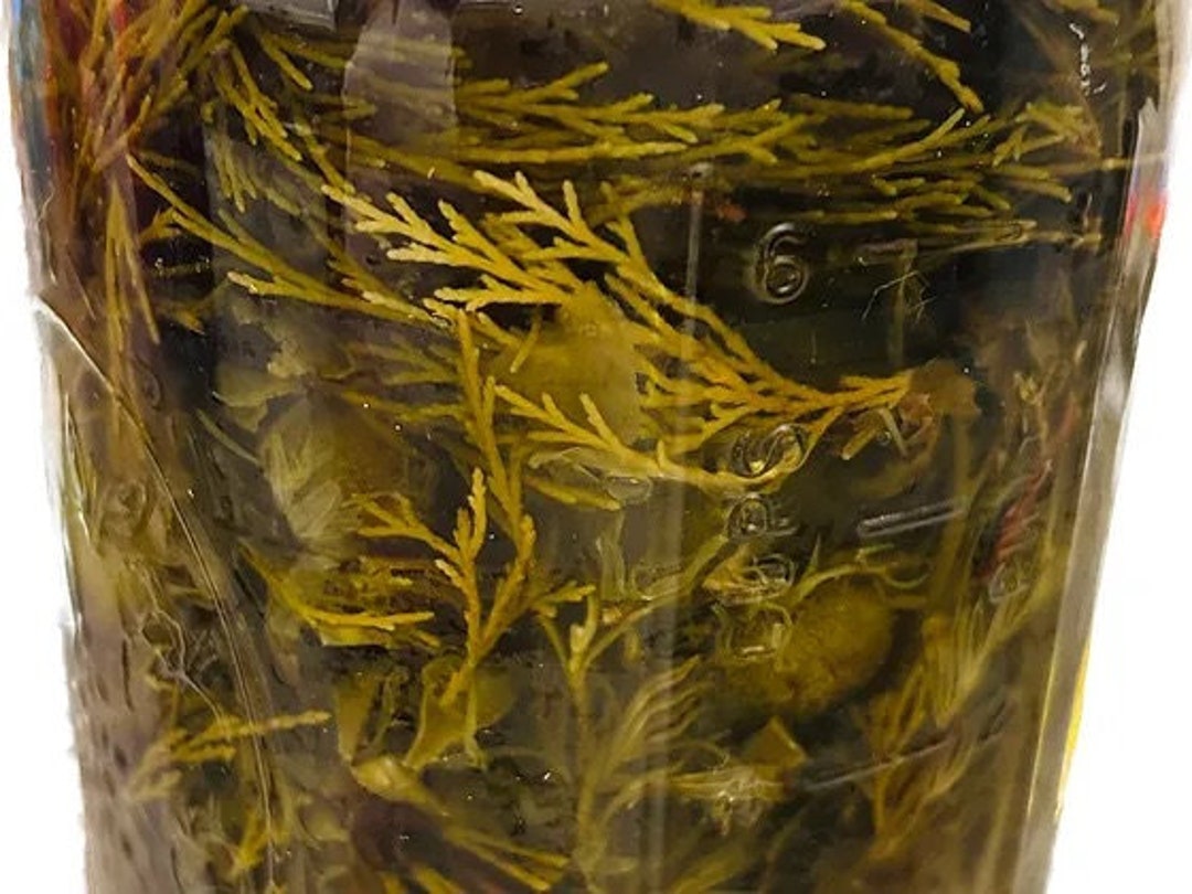 Pinesoul Floor Wash 12oz - Etsy