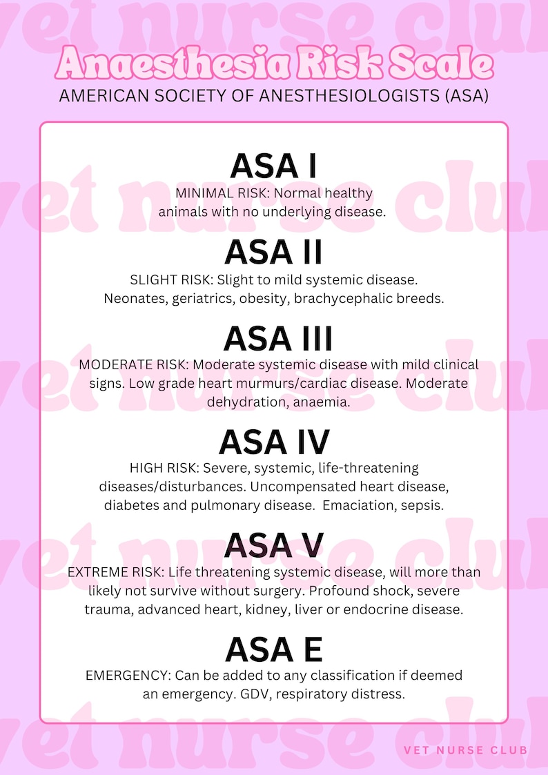 Veterinary ASA Anaesthesia Risk Scale digital Download - Etsy