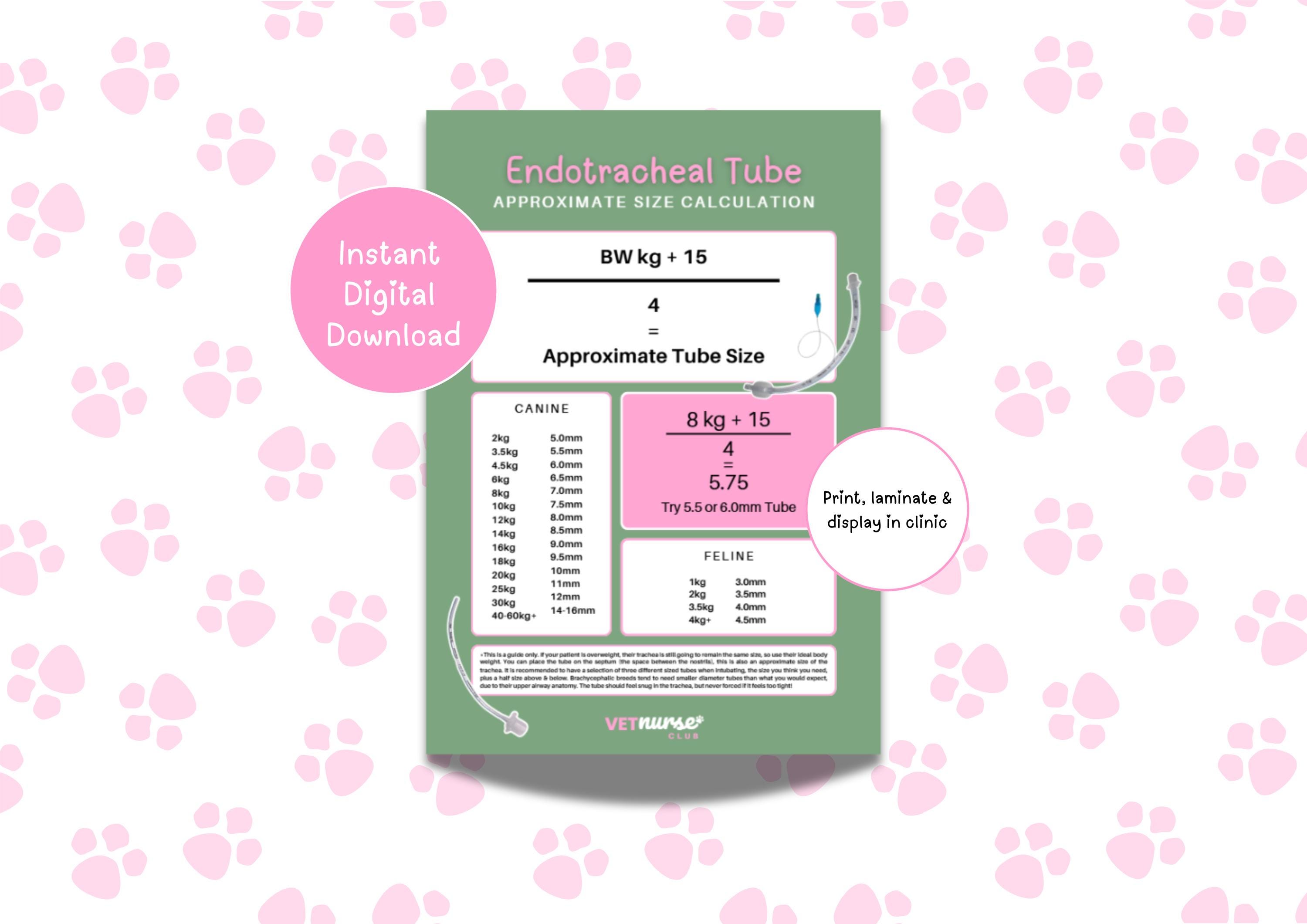 Veterinary Endotracheal Tube Size Guide (digital Download) - Etsy