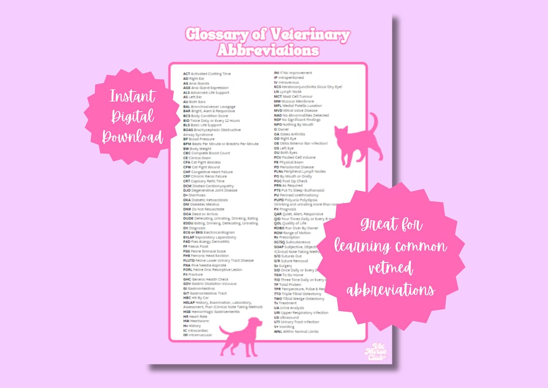 Glossary of Veterinary Abbreviations digital Download 1 Page - Etsy