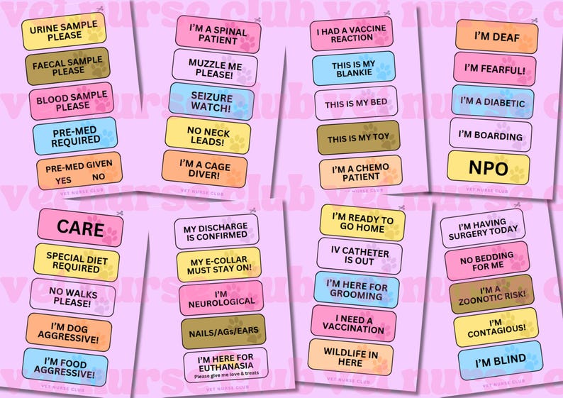 Veterinary Cage Signs digital Download 8 Pages - Etsy