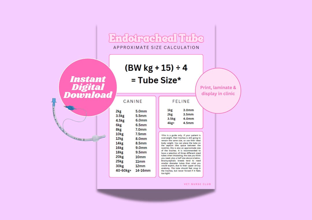 Veterinary Endotracheal Tube Size Guide digital Download - Etsy