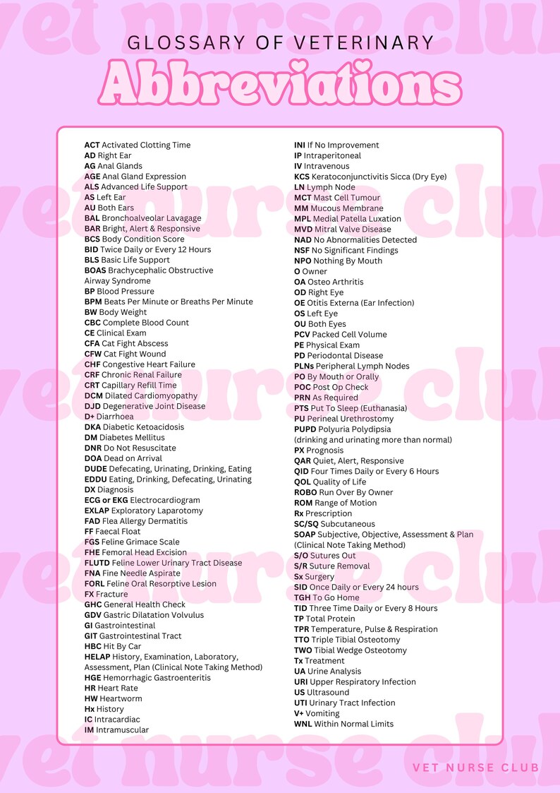 Glossary of Veterinary Abbreviations (digital Download) - Etsy