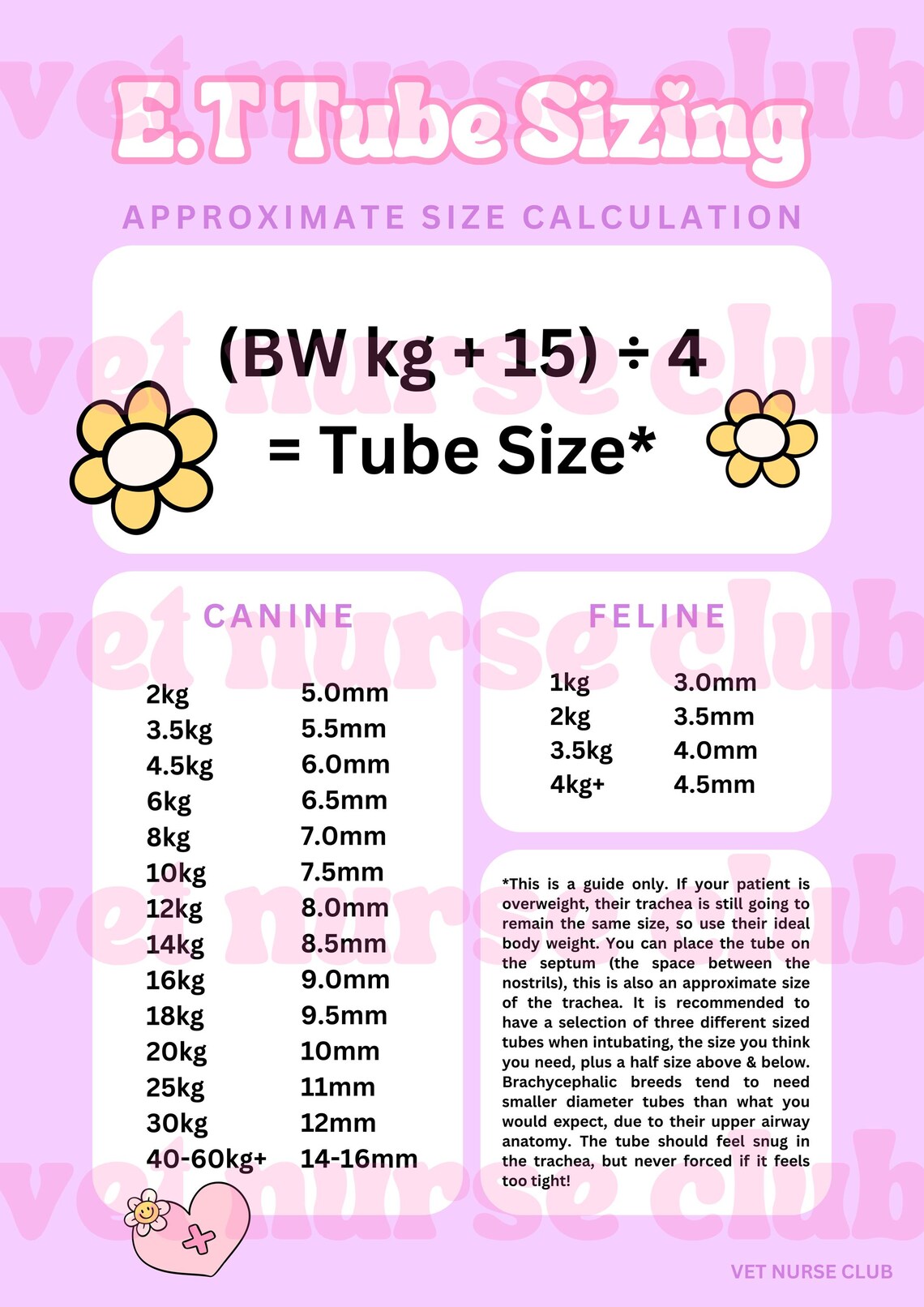 Veterinary Endotracheal Tube Size Guide digital Download 1 Page - Etsy