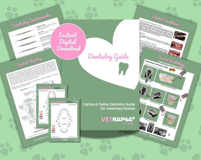 Veterinary Dentistry Flashcards, Veterinary Pocket Book, Veterinary ...
