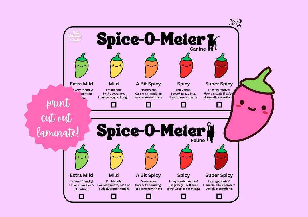 Spice-o-meter Temperament Scale Cards digital Download 1 Page - Etsy