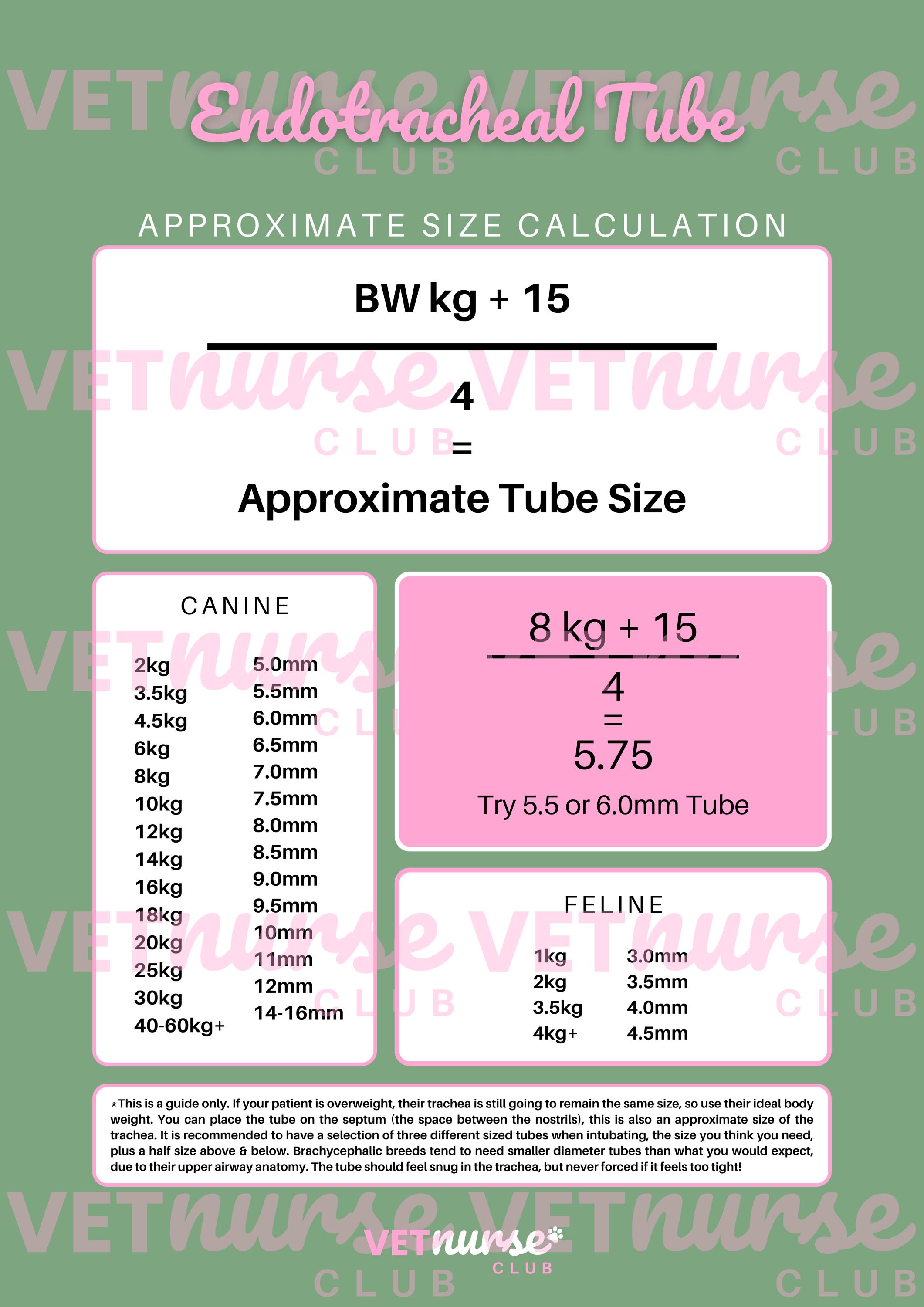 Veterinary Endotracheal Tube Size Guide (digital Download) - Etsy
