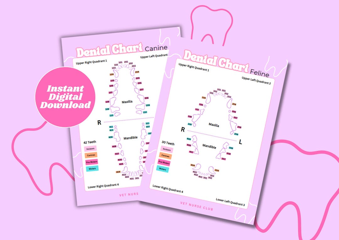 Dental Charts Canine & Feline (digital Files) - Etsy
