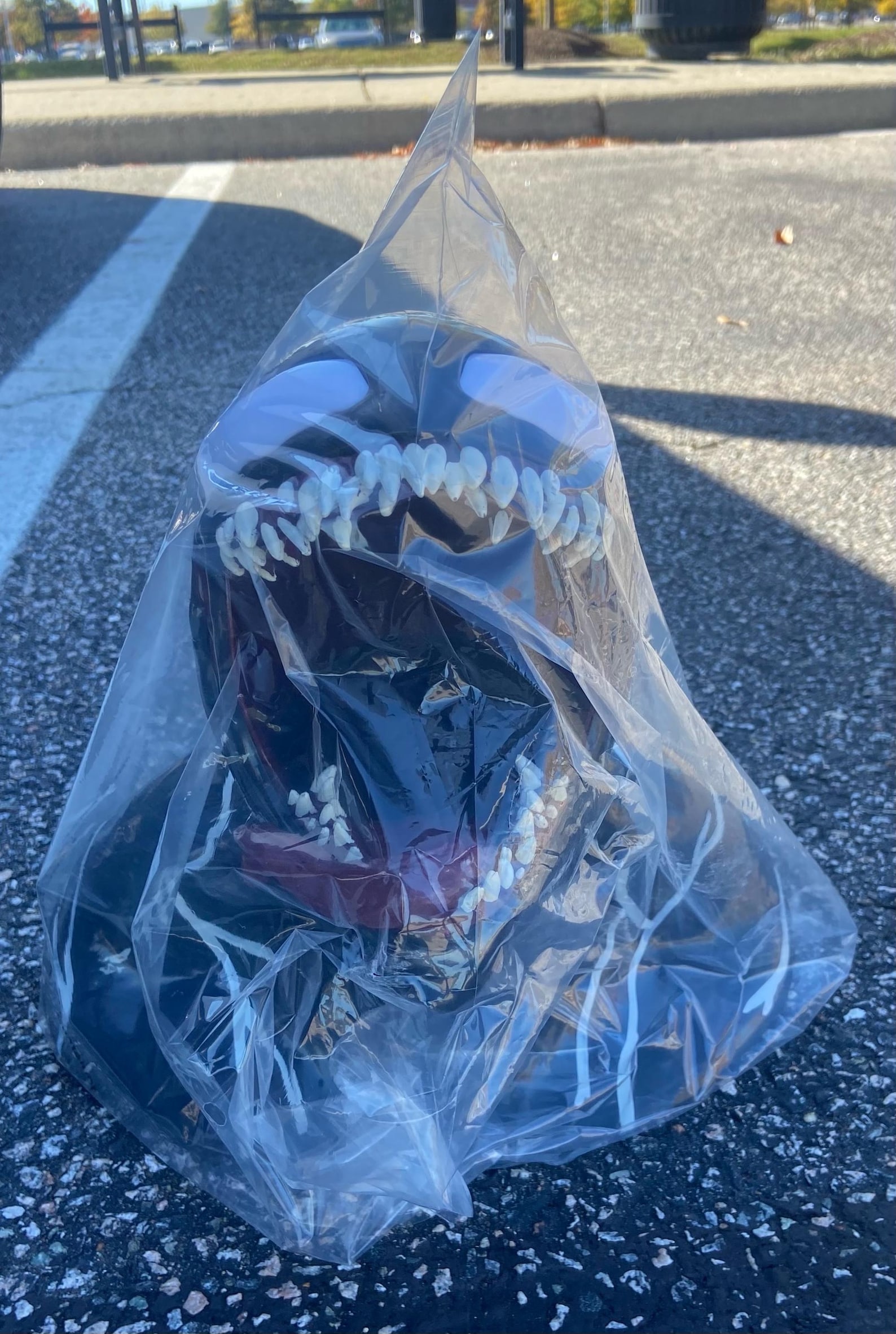 Venom the Last Dance Popcorn Bucket *IN HAND* - Etsy