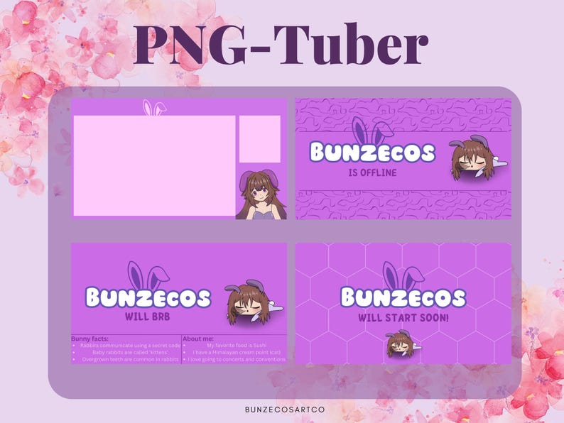 Customize Stream Overlay - Twitch Overlay Package - Etsy