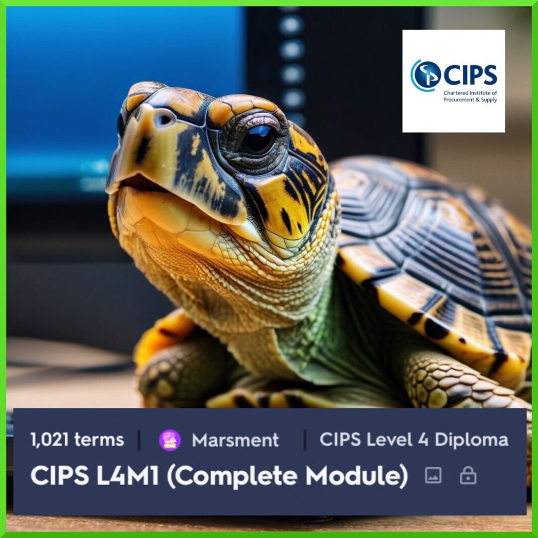 1000 CIPS Level 4 Diploma, Module 1, Flashcards L4M1 Quizlet - Etsy