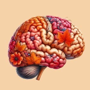 Brain PNG Clipart Bundle, ADHD Awareness Designs, Fall Leaf Mental ...