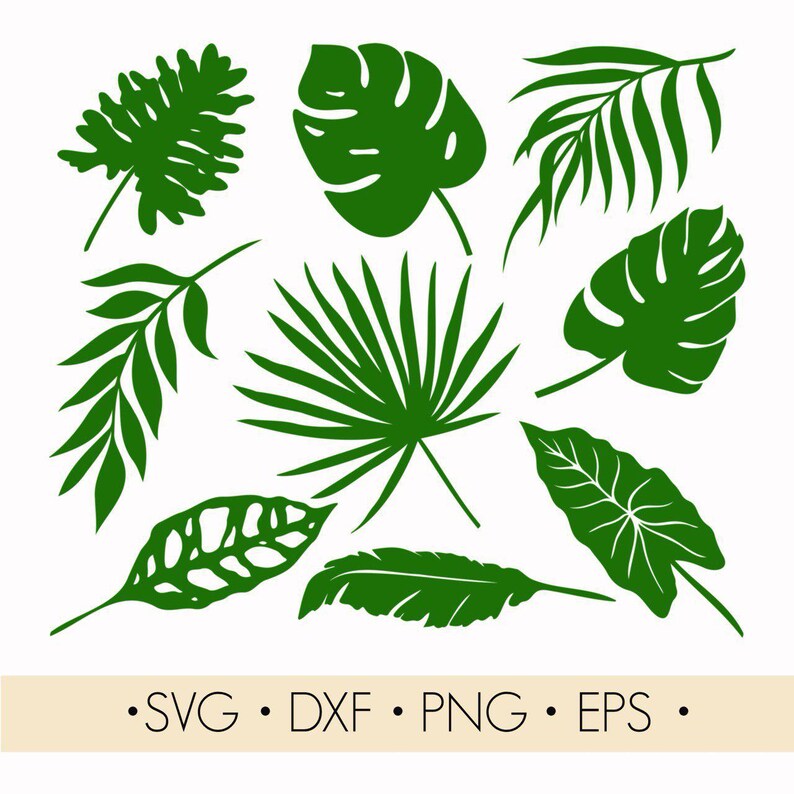 Tropical Leaves Svg. Monstera Leaf Svg Clipart. Jungle Leaves Clipart. Palm Branch Svg Png Dxf ...