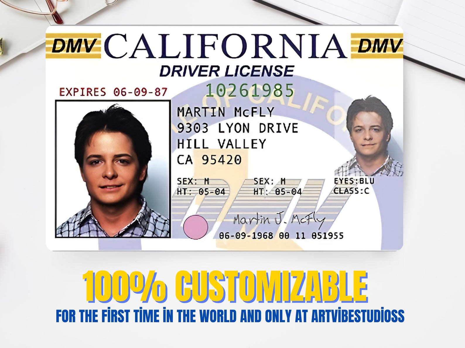 100% PERSONALIZED Mcfly ID CARD | Martin Mcfly Drivers License ...