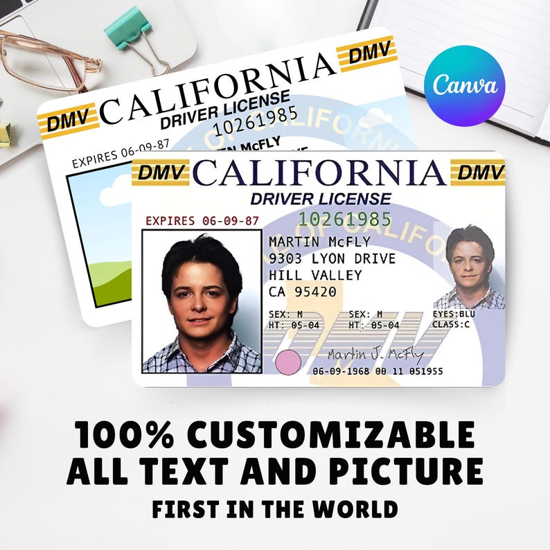 100% PERSONALIZED Mcfly ID CARD | Martin Mcfly Drivers License ...