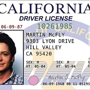 100% PERSONALIZED Mcfly ID CARD | Martin Mcfly Drivers License ...