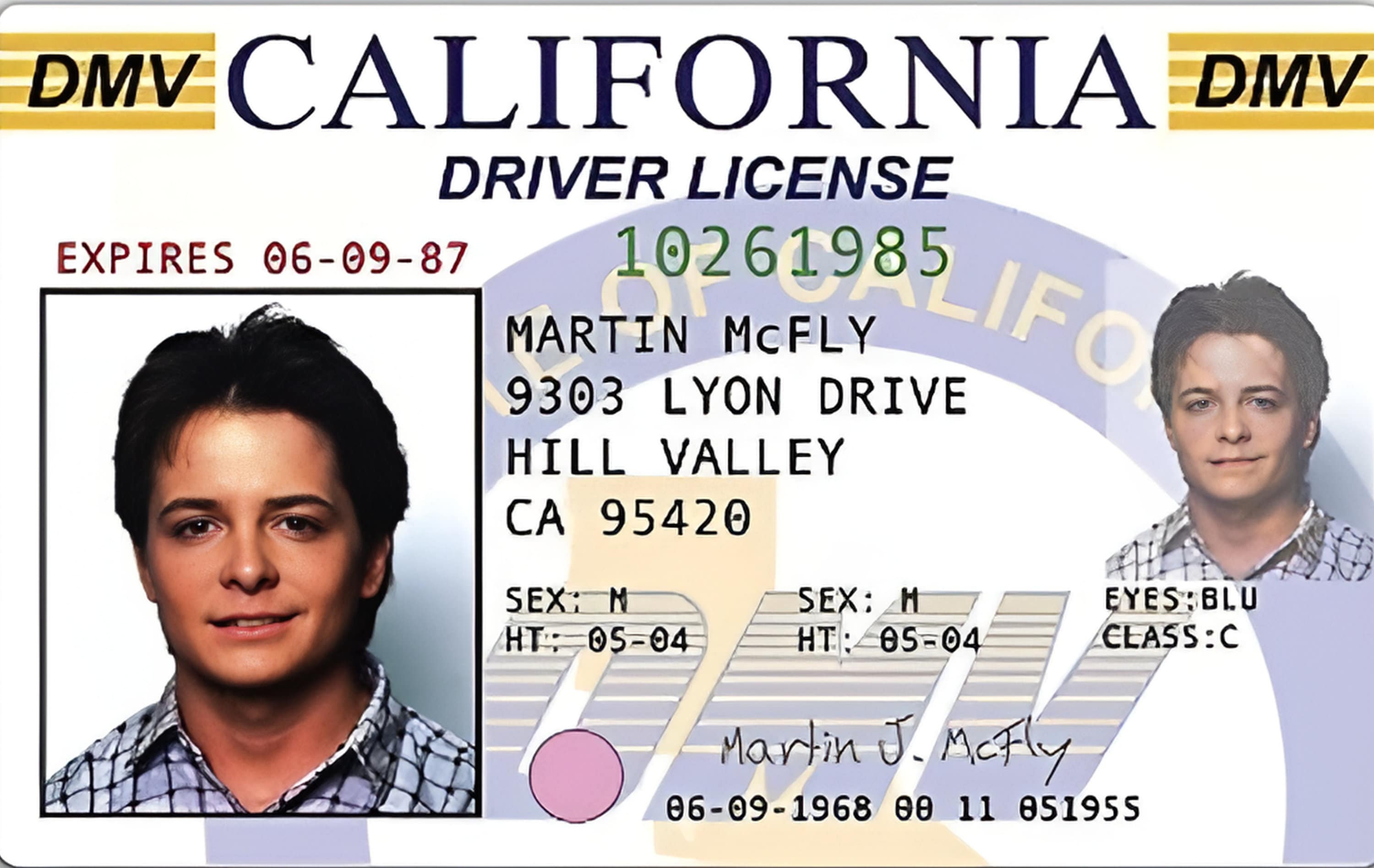100% PERSONALIZED Mcfly ID CARD | Martin Mcfly Drivers License ...