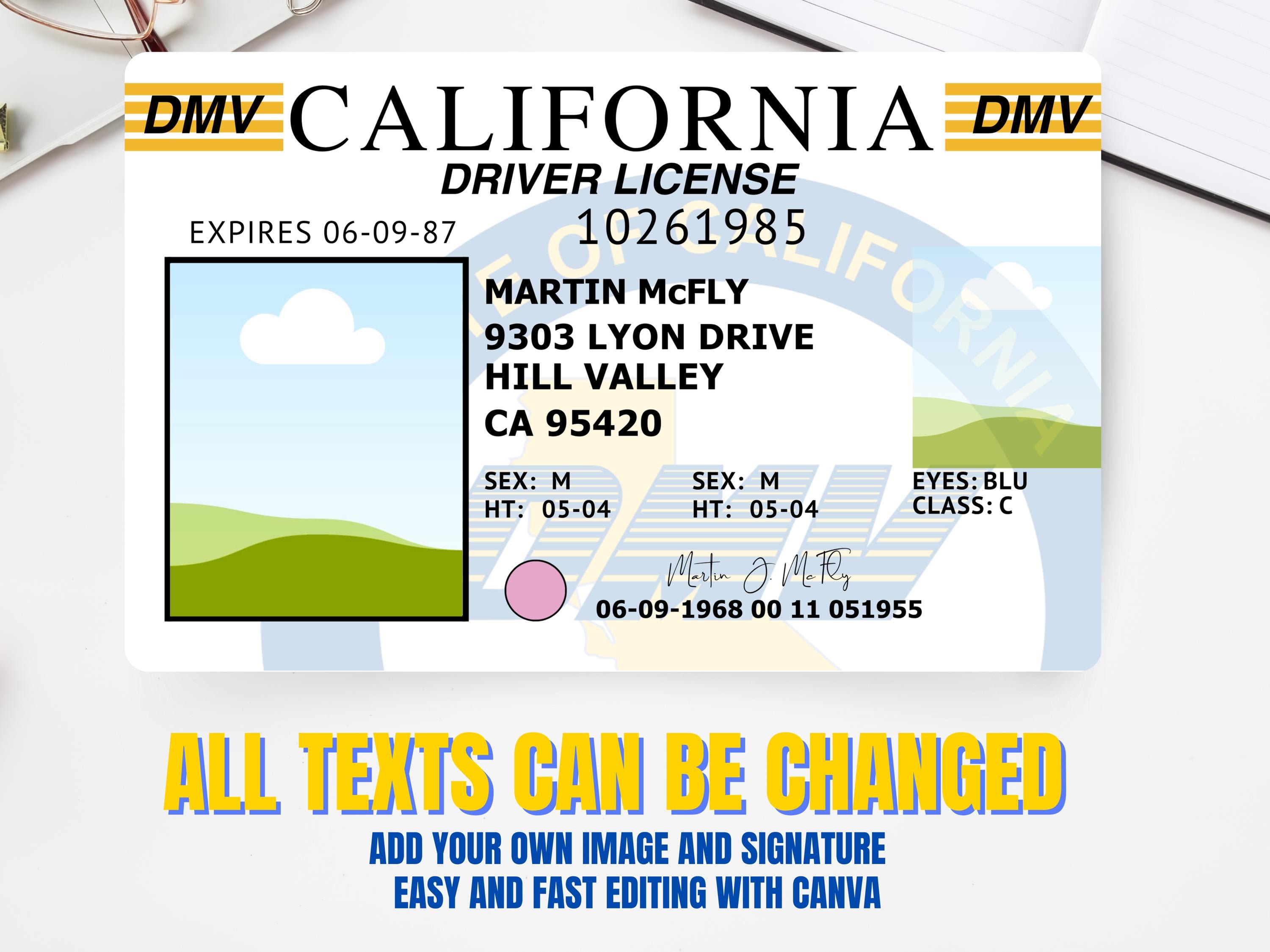 100% PERSONALIZED Mcfly ID CARD | Martin Mcfly Drivers License ...