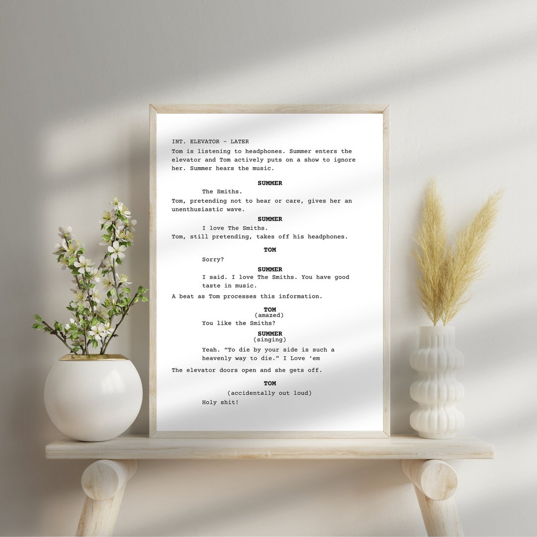 500 Days of Summer Screenplay Poster Movie Poster Wall Decor Art Print ...