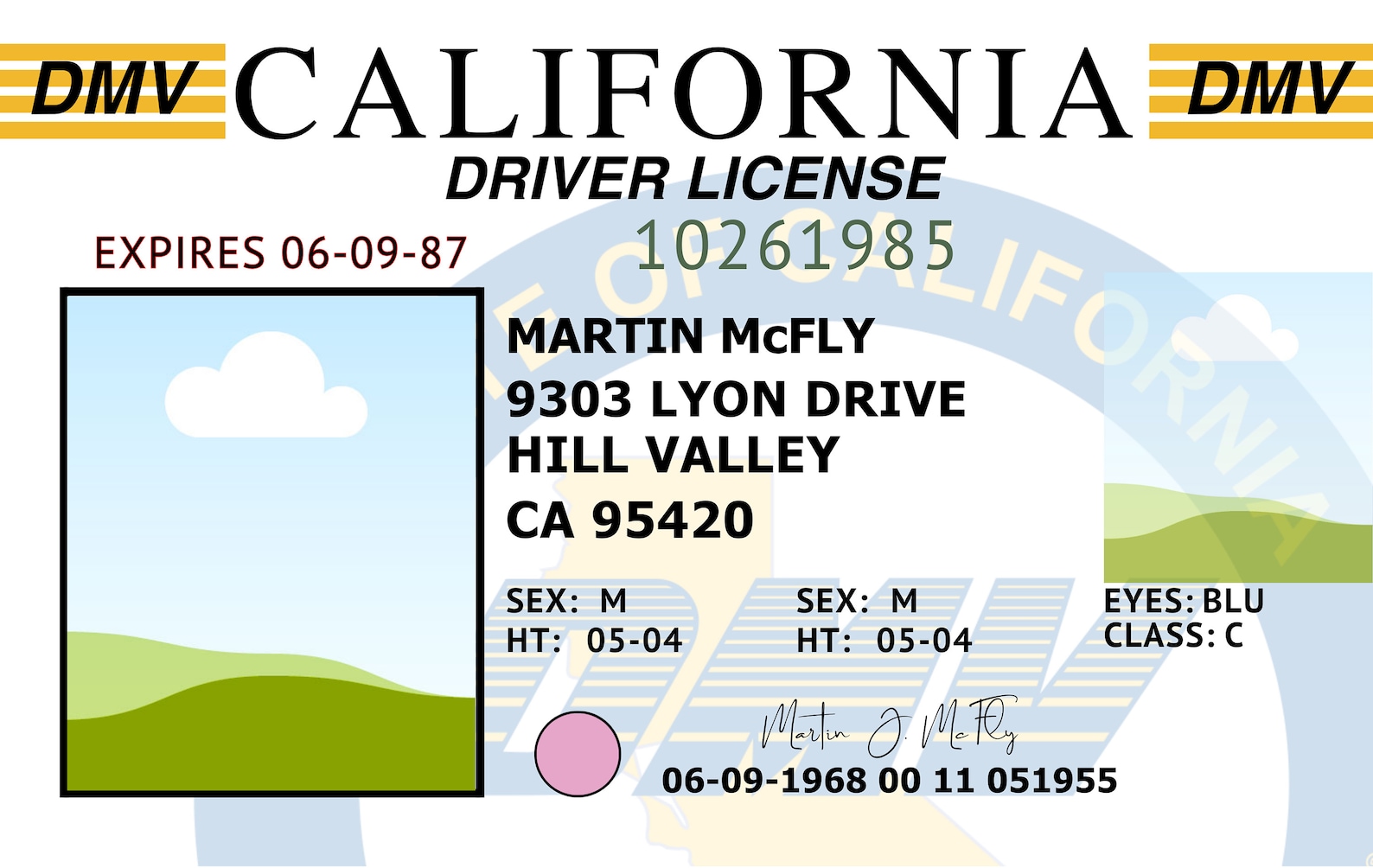 100% PERSONALIZED Mcfly ID CARD | Martin Mcfly Drivers License ...