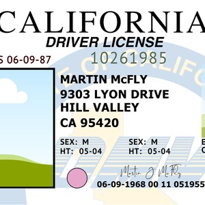 100% PERSONALIZED Mcfly ID CARD | Martin Mcfly Drivers License ...
