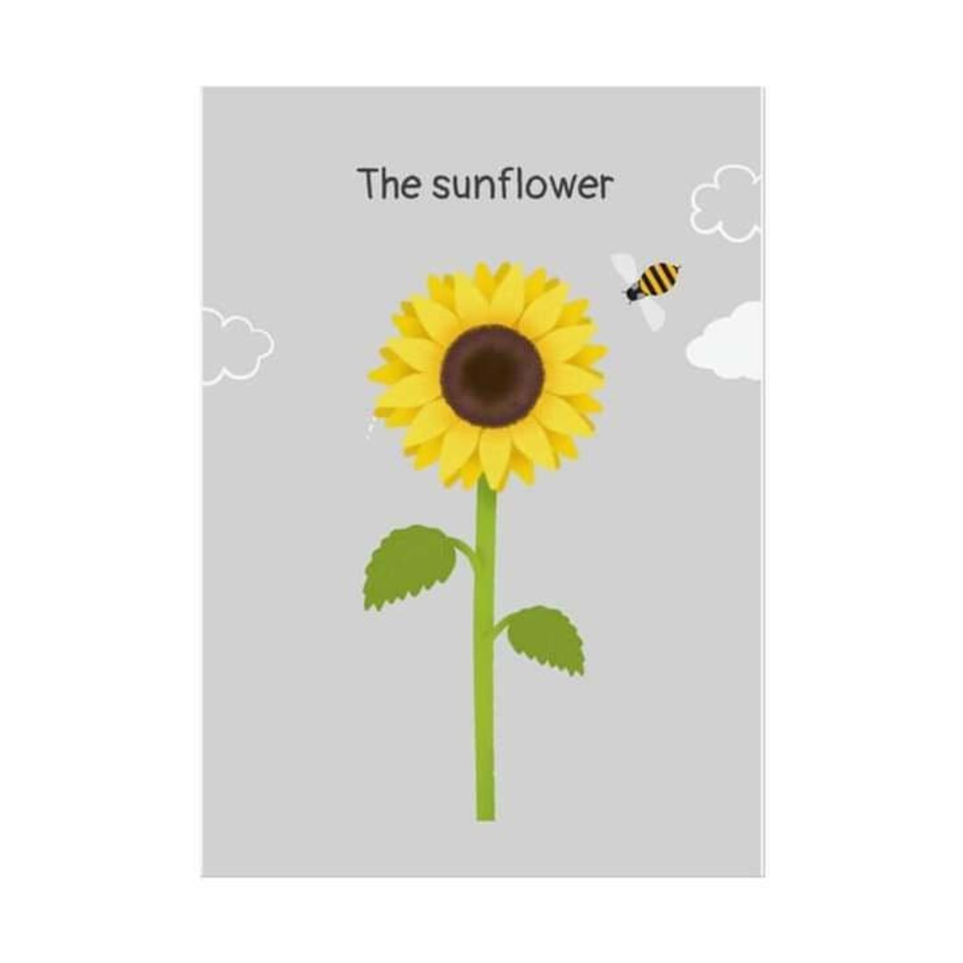 Sunflower Workbook 20 Pages, Herbalism for Kids, Learning Herbs ...