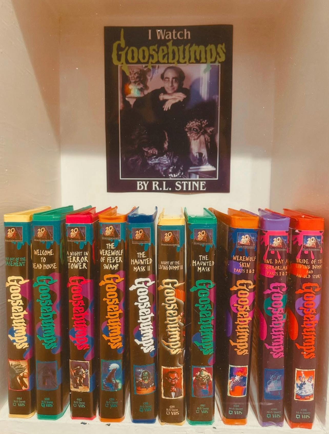 Custom Goosebumps VHS Slip Insert Only (no Cases) / Horrorland ...