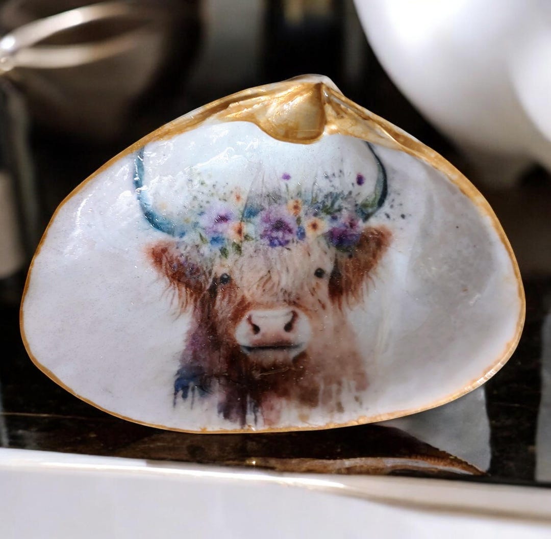 Highland Cow Clam Shell - A Whimsical Trinket Dish - Etsy