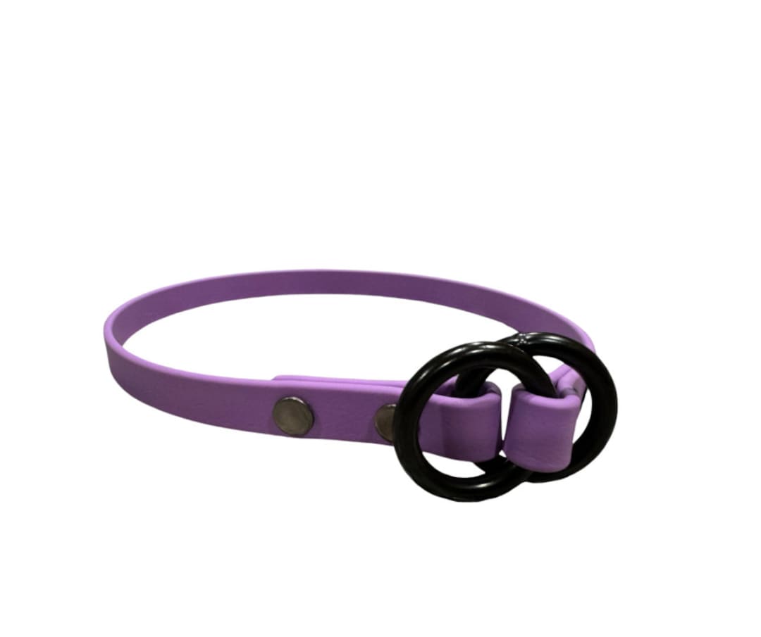 Biothane Slip Collar Waterproof Slip Collar Custom Made Training Collar ...