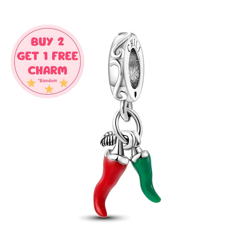 Chili Red Pepper Dangle Charm for Bracelet, Charm for Birthday Gift for ...
