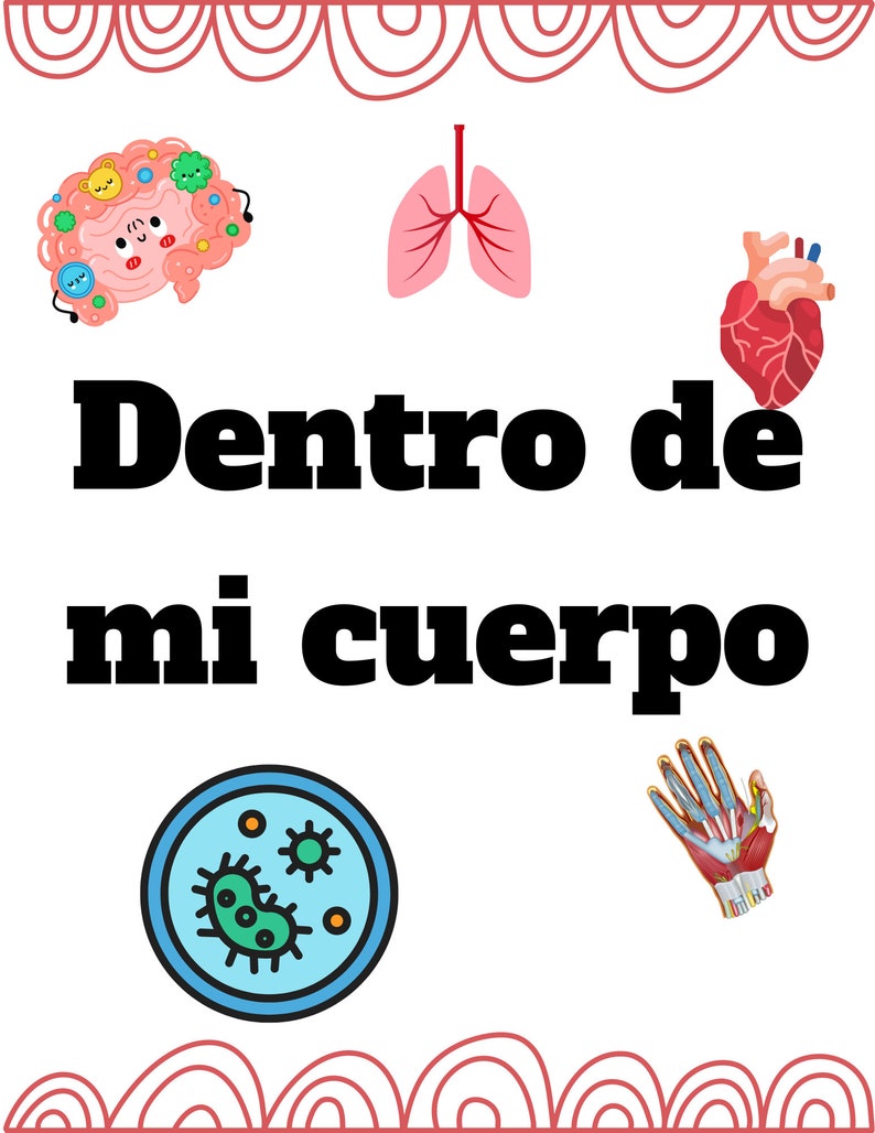 Sistemas Del Cuerpo Humano- Spanish Printable - Etsy