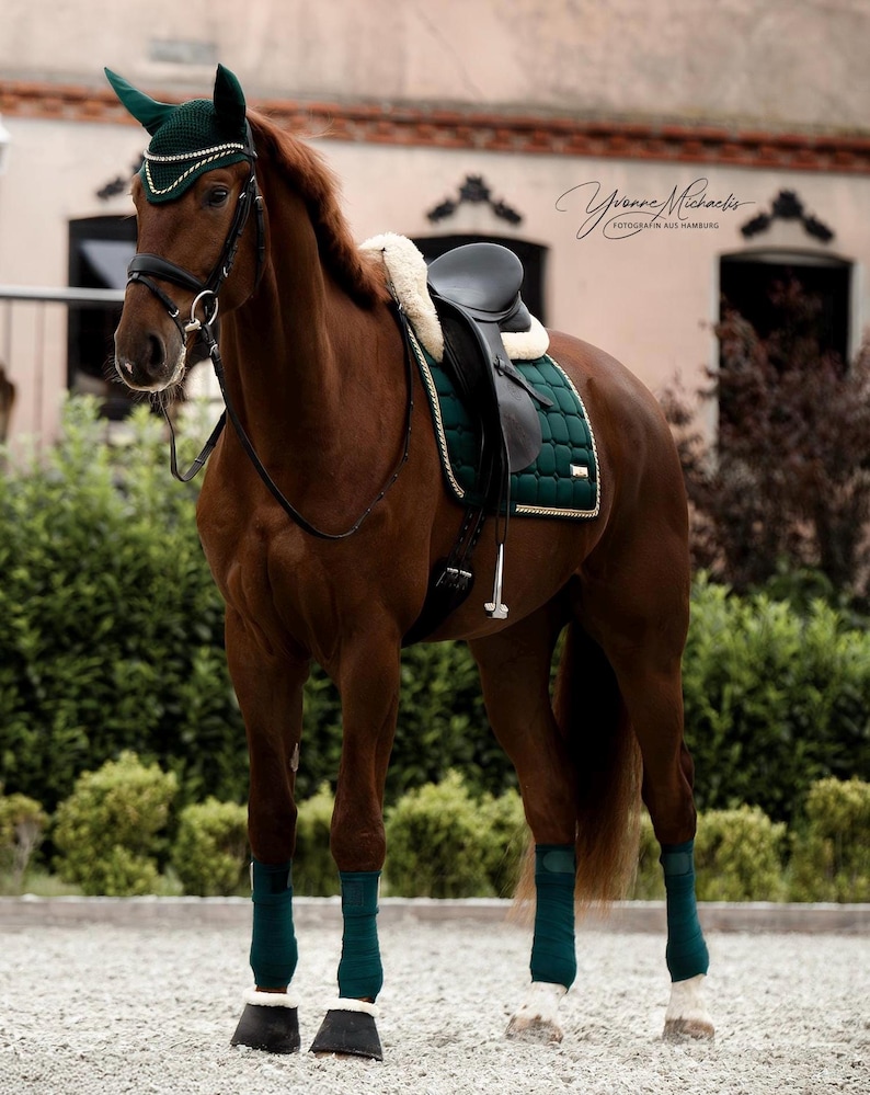 Saddlepad | Dressage Set | Matching Horseoutfit | Green Gold Crystal - Etsy