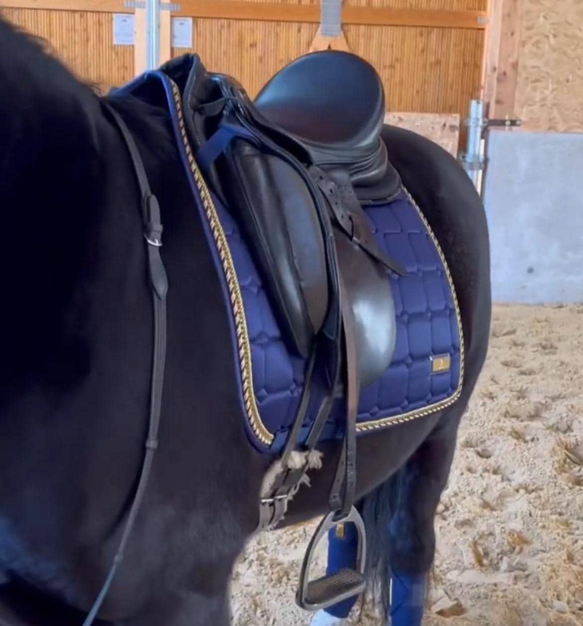 Saddlepad English | Dressage | Gold Blue Navy Crystal | Matching Set ...
