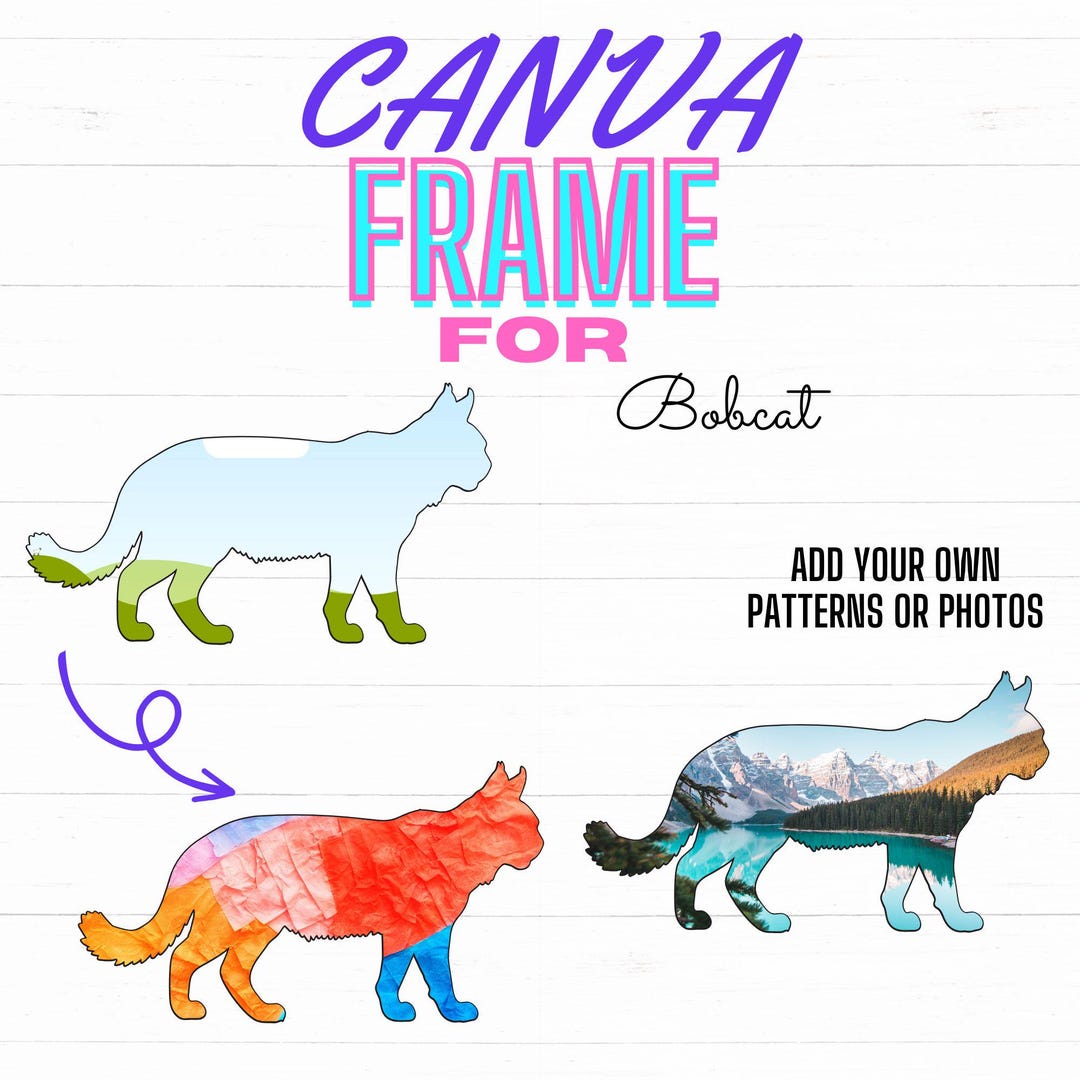 Bobcat Animal Canva Frame Digital Template - Etsy